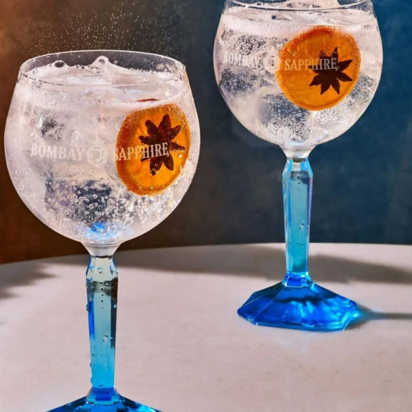 Gin - Wine Palace Goa