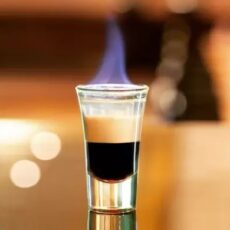 Home Page - Wine Palace Goa